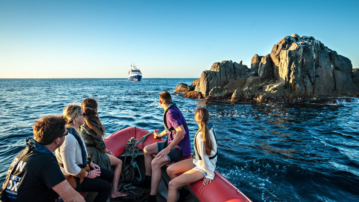 How a shark attack led to the start of modern cage diving | Adventure.com