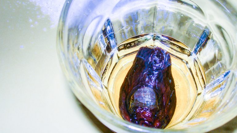 Boozing with a twist: A sourtoe cocktail in the Yukon | Adventure.com