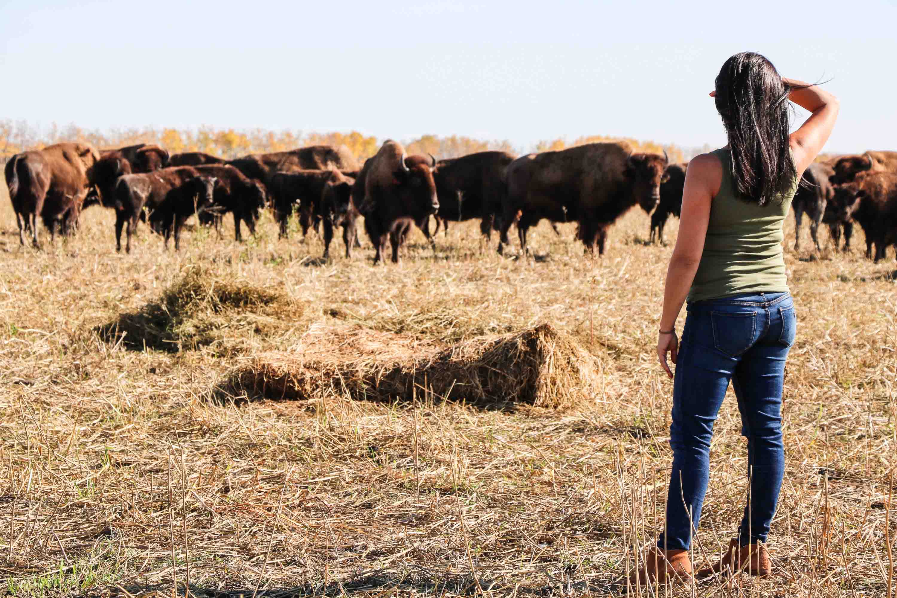 The resurgence of Canada’s First Nations cuisine | Adventure.com