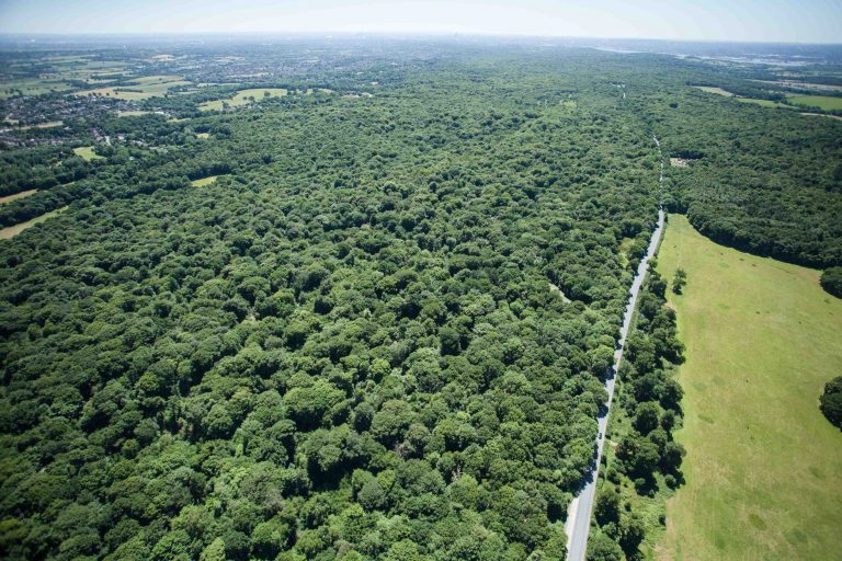 London: The world’s first National Park City | Adventure.com