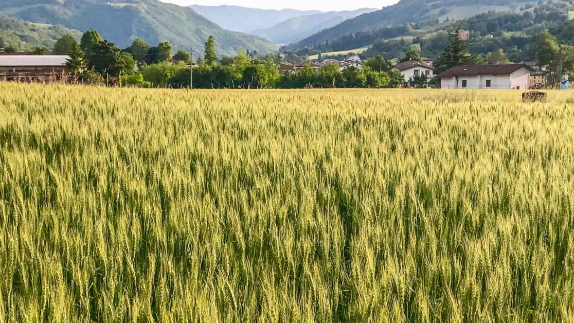 Following my great-grandfather’s footsteps to a rarely-seen Italy ...