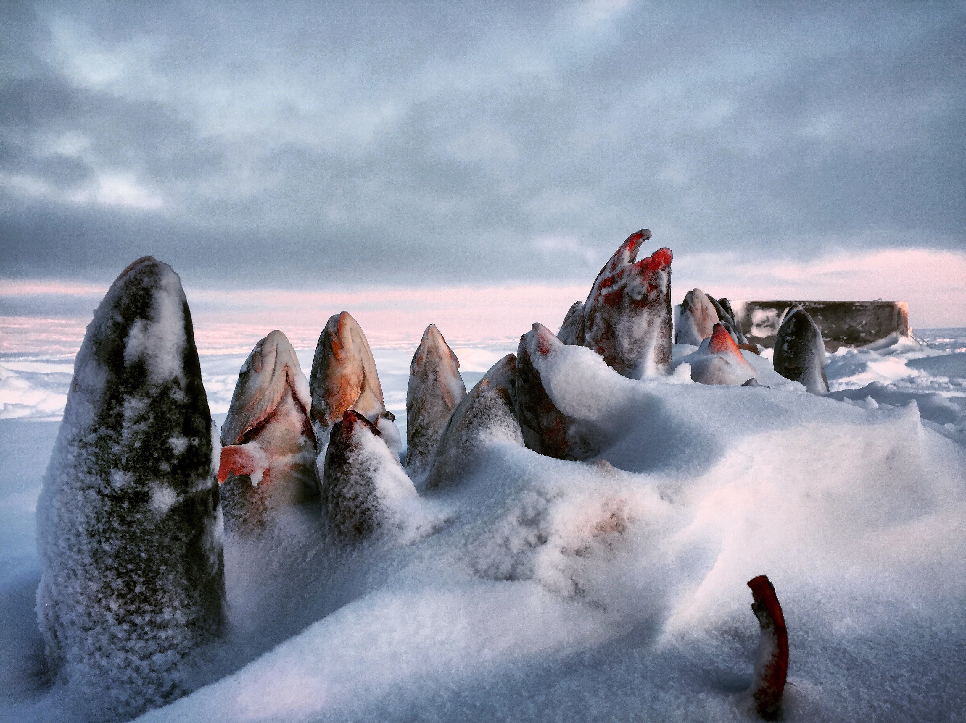 How journalist Neil Shea unlocked the storytelling power of Instagram ...