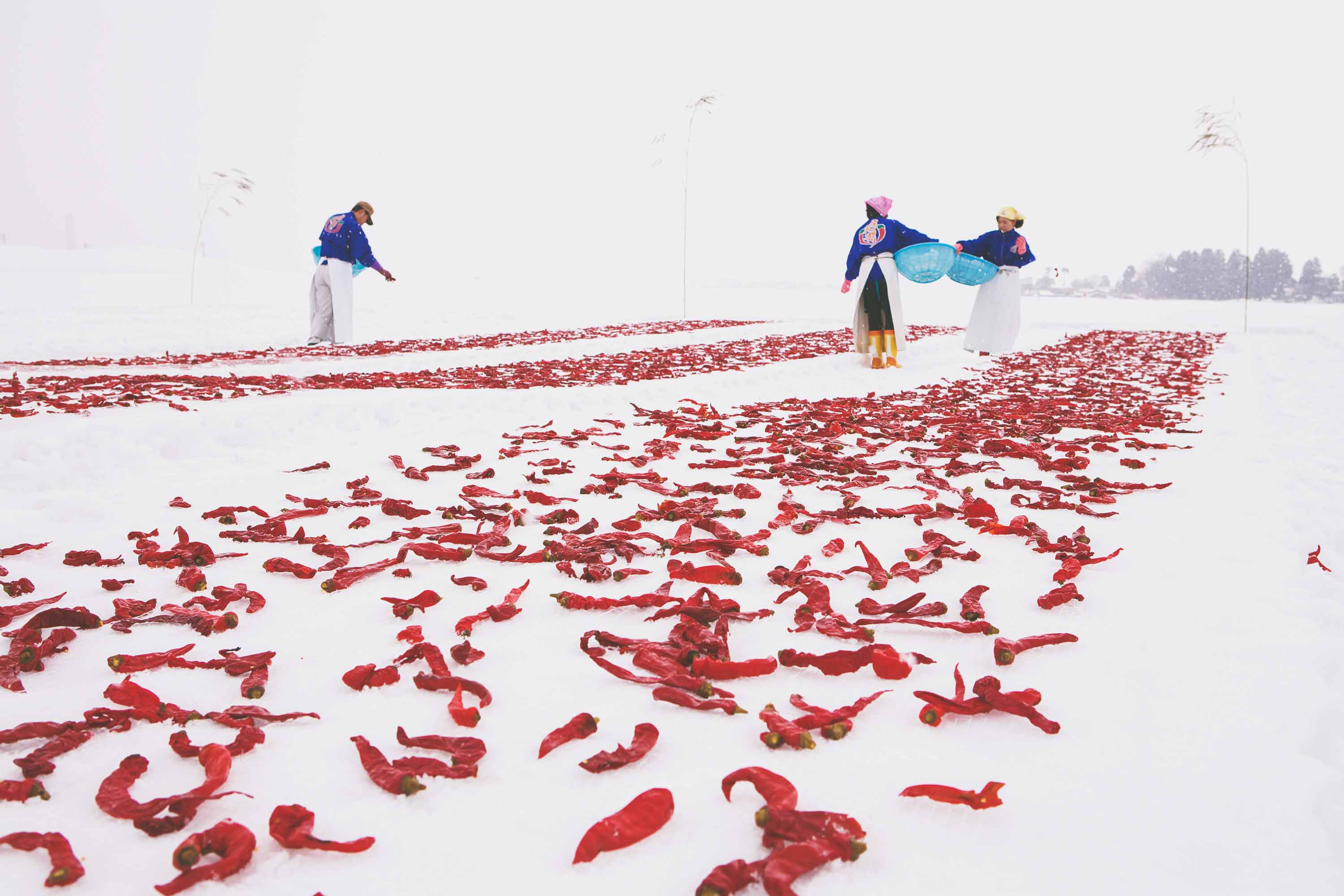 Snow food: Japan’s unusual Alpine cuisine | Adventure.com