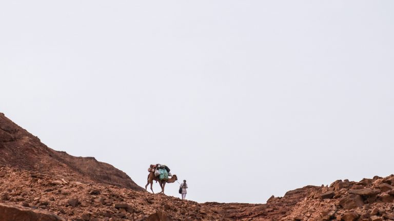 How to make an award-winning adventure film (without budget or crew ...