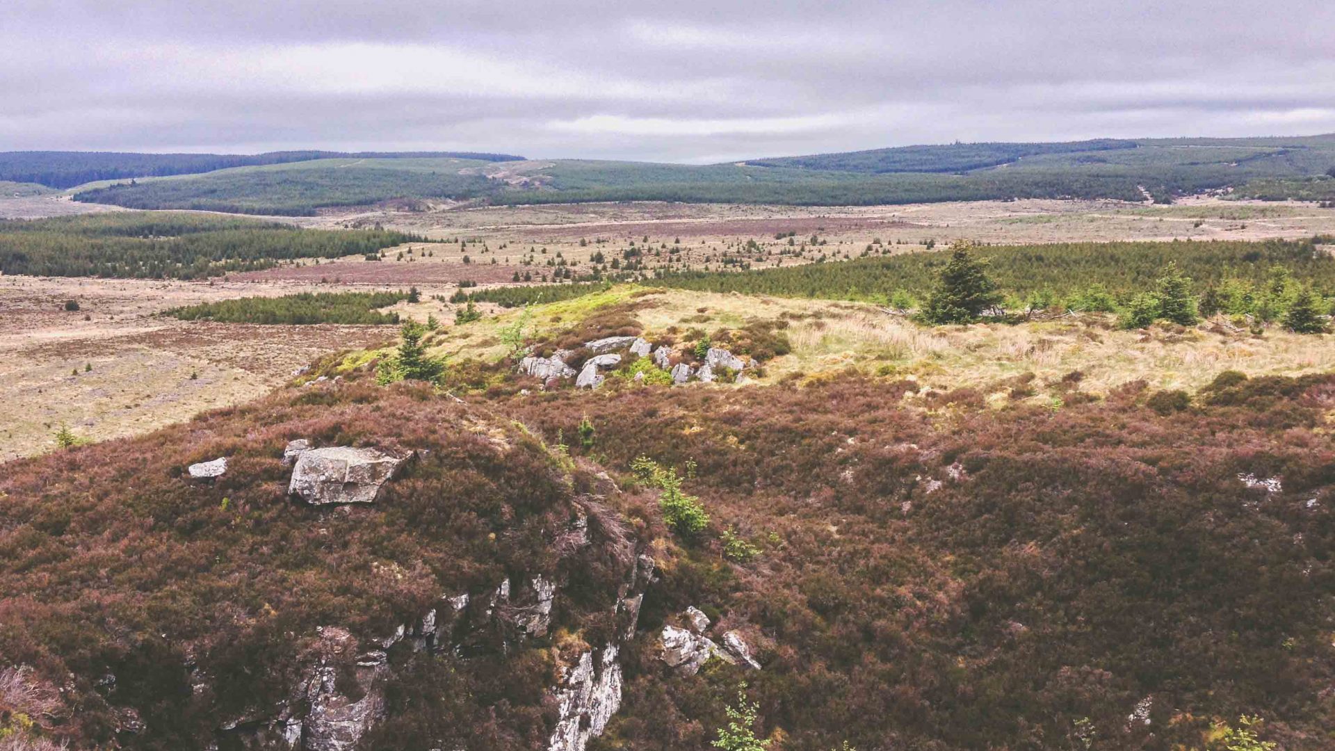 Kielder Mires: Is this England’s quietest spot? | Adventure.com