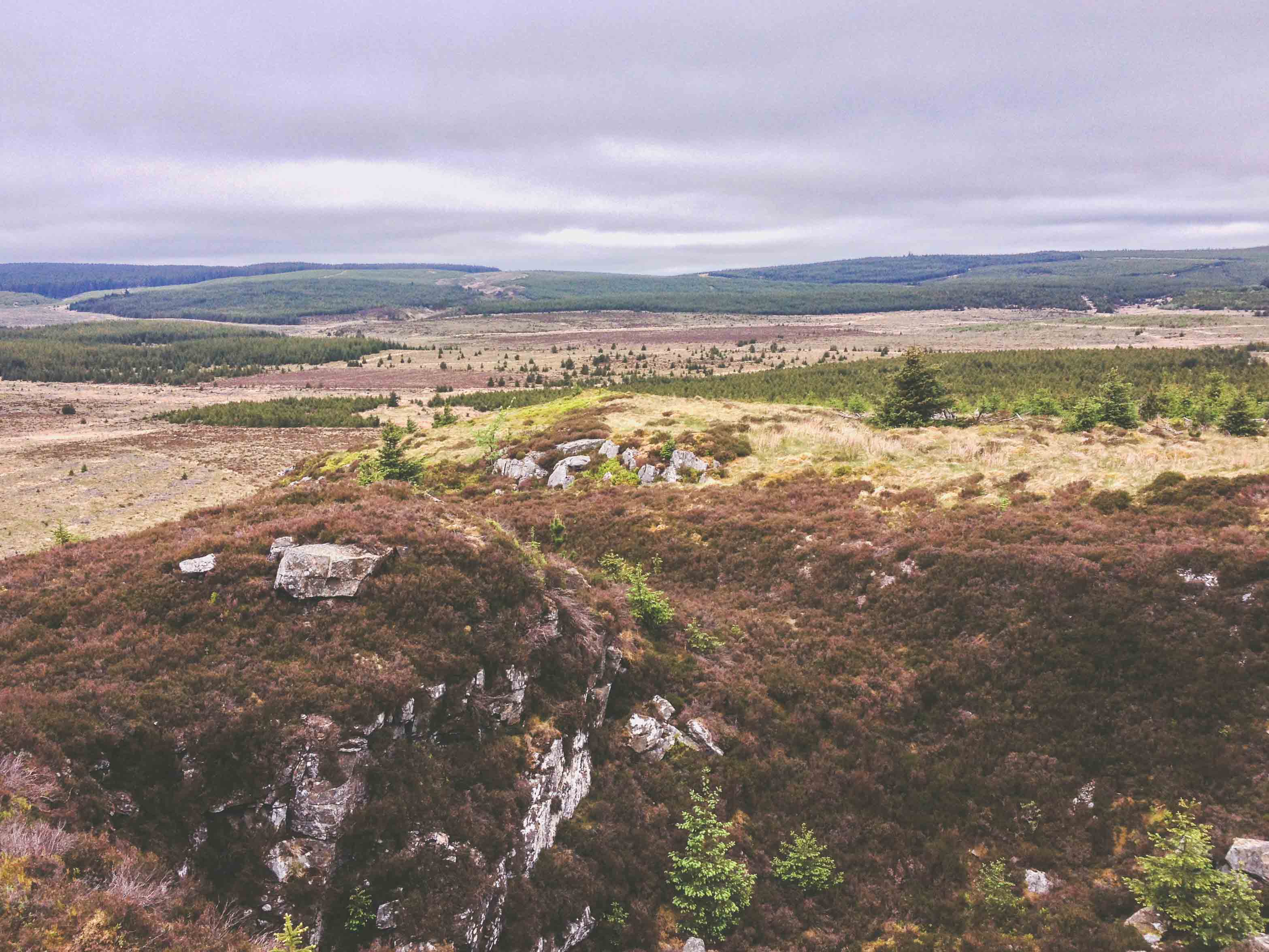Kielder Mires: Is this England’s quietest spot? | Adventure.com