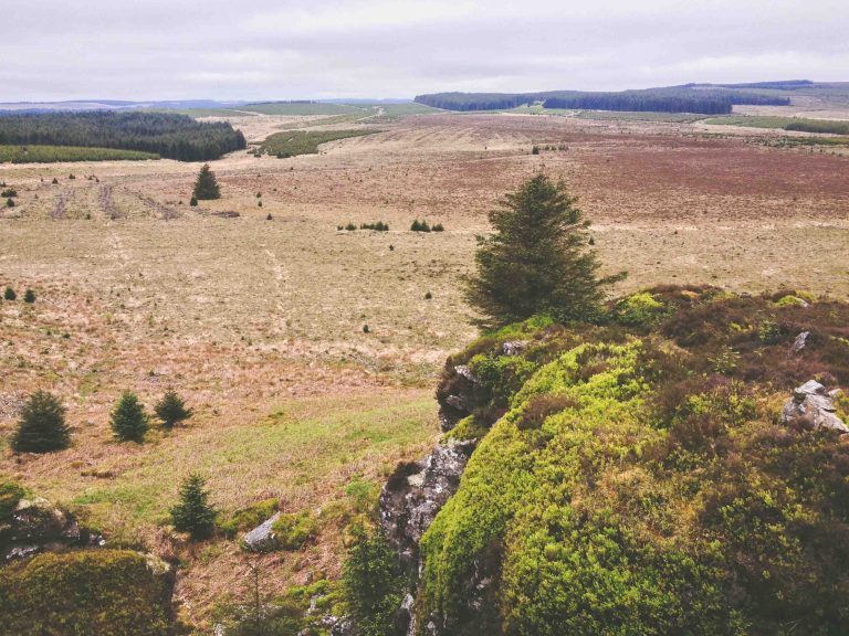 Kielder Mires: Is this England’s quietest spot? | Adventure.com
