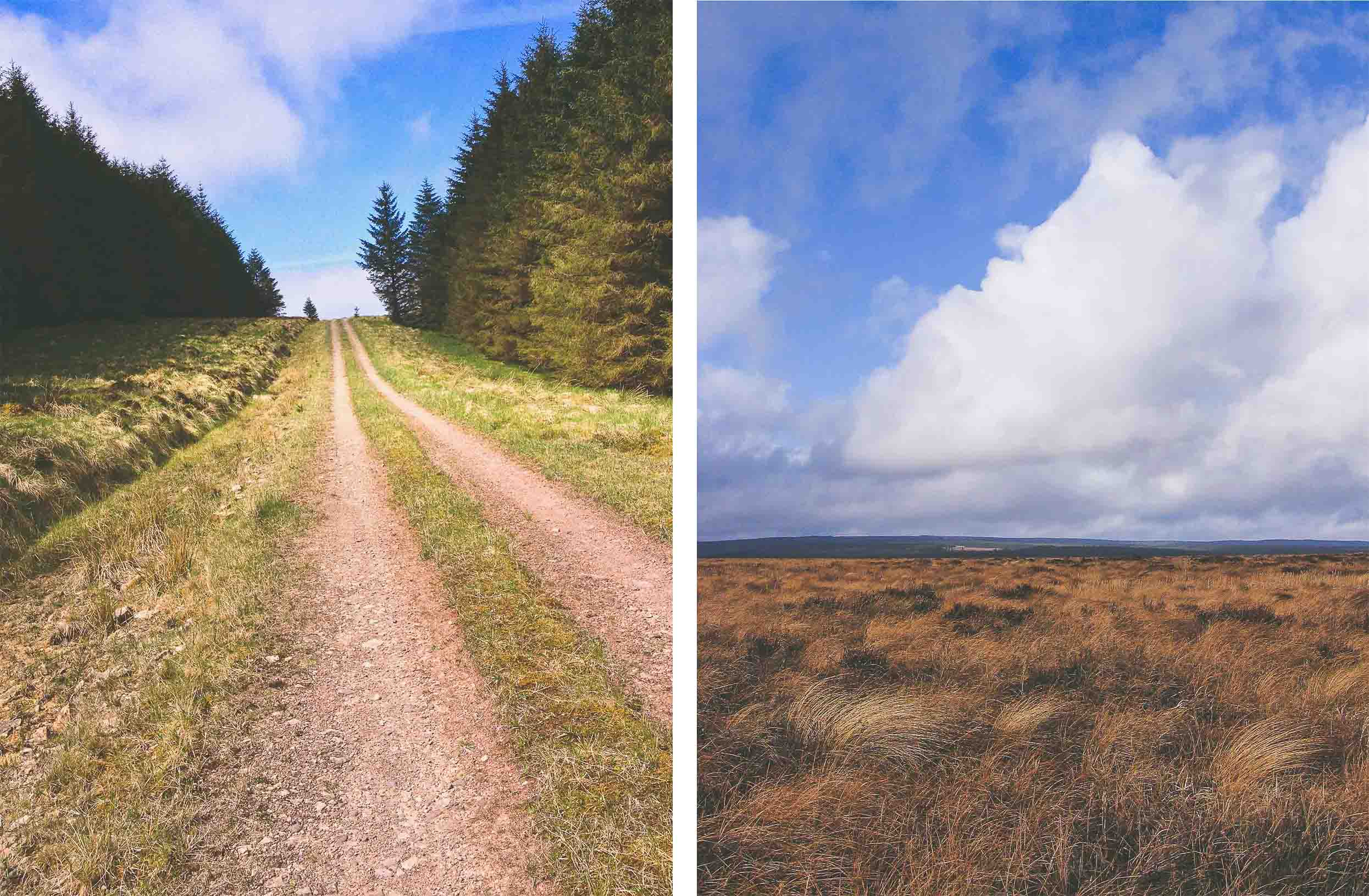 Kielder Mires: Is this England’s quietest spot? | Adventure.com