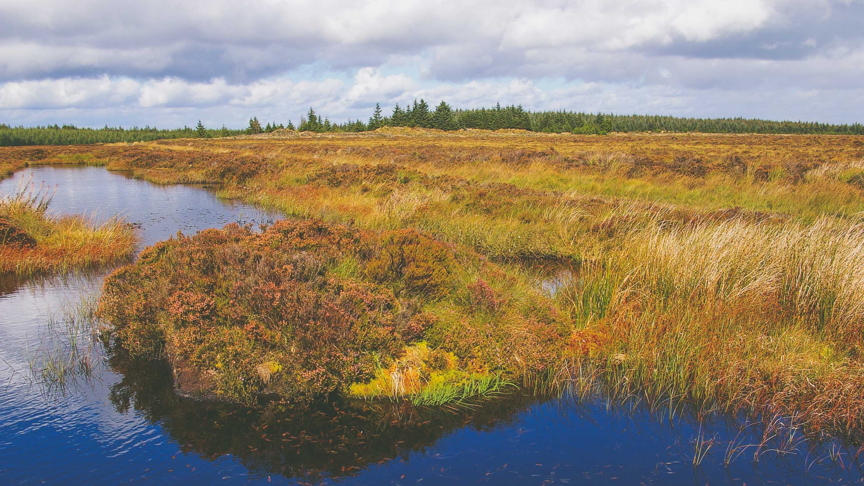 Kielder Mires: Is this England’s quietest spot? | Adventure.com