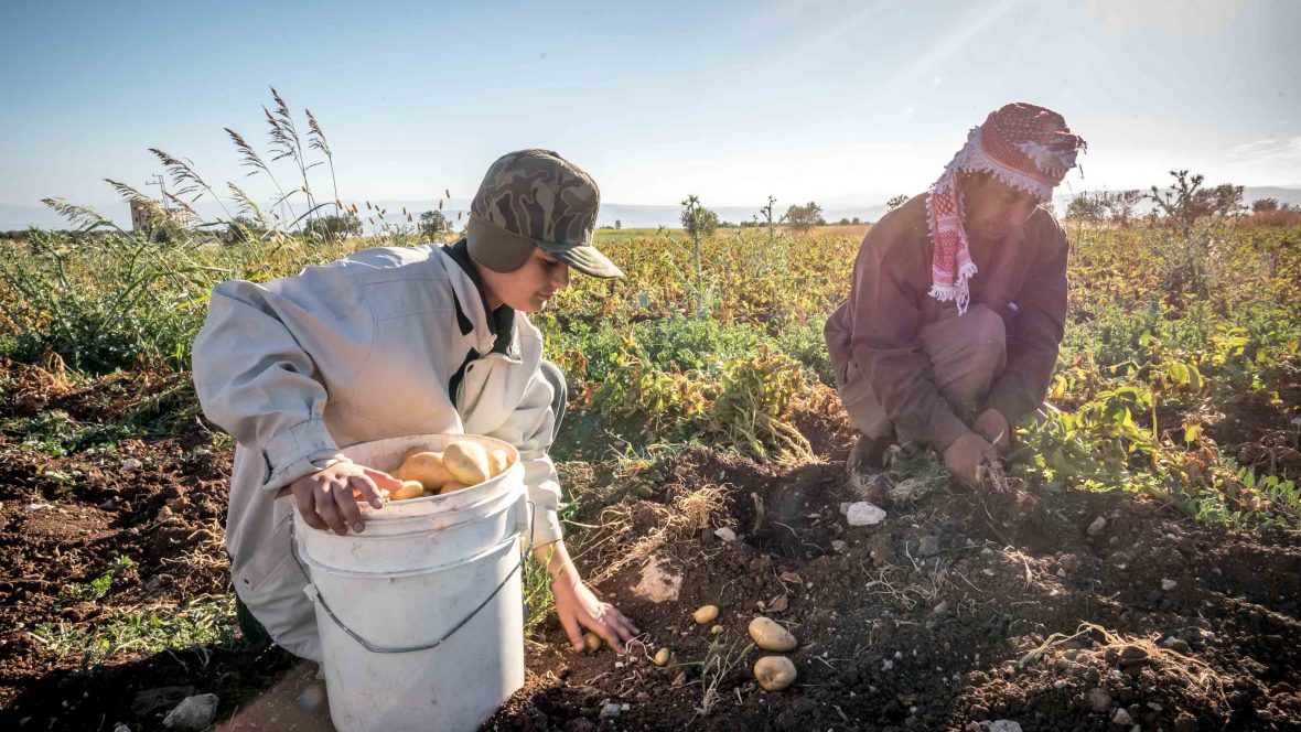 Hiking borderlands and finding community on the Jordan Trail ...
