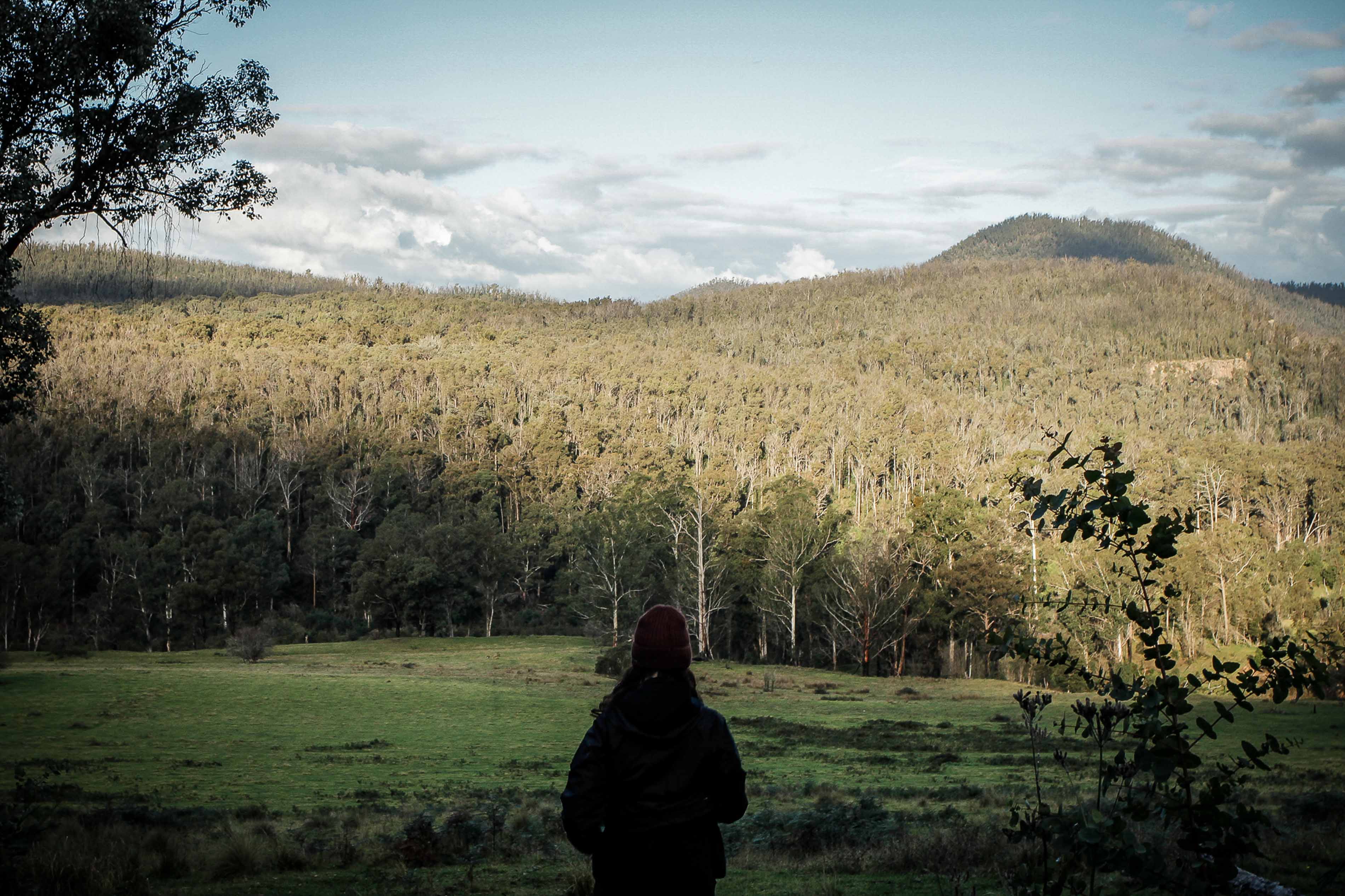 Survival school: Learn how to survive in the wilderness | Adventure.com