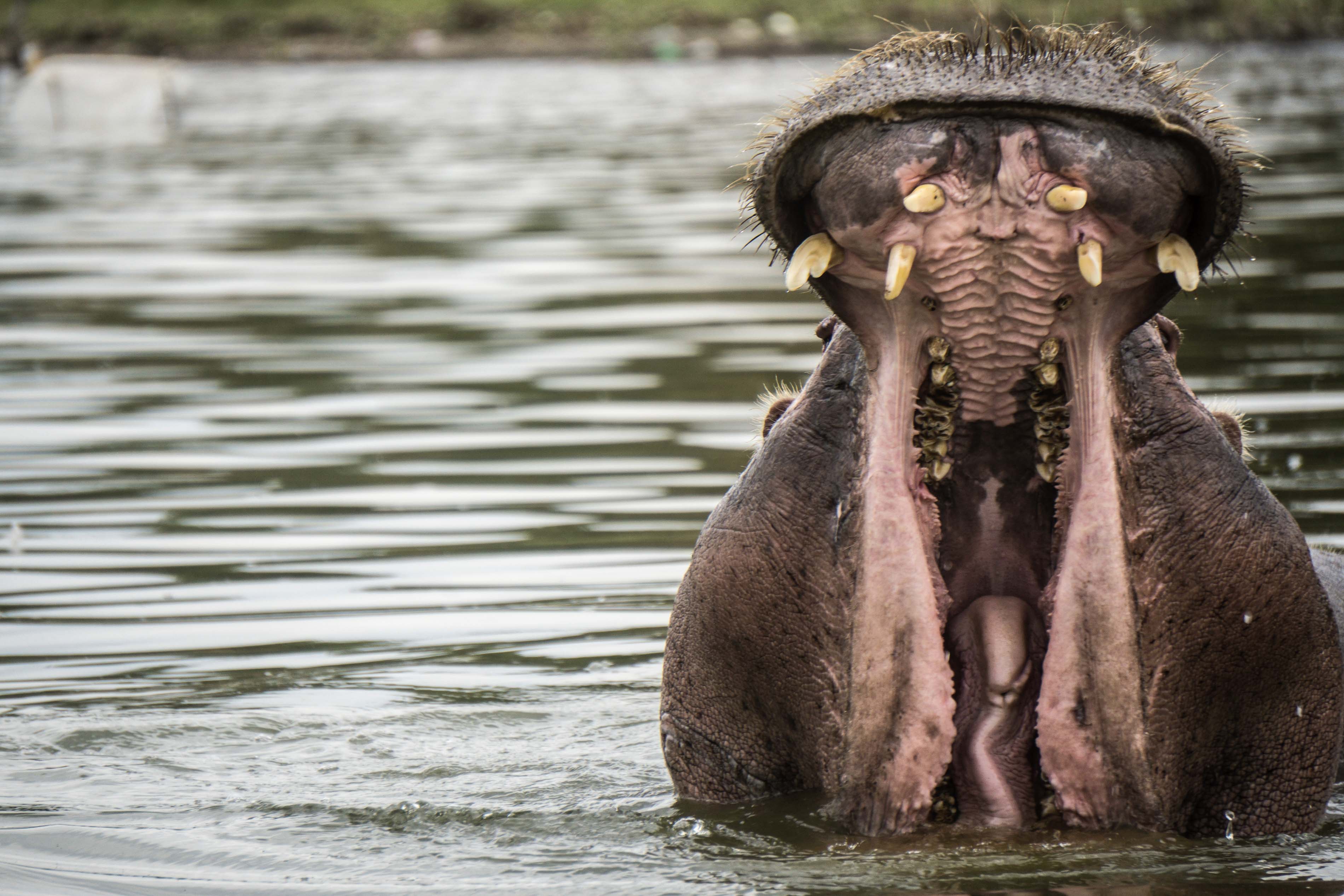 Running rivers in Namibia, far from the Skeleton Coast | Adventure.com