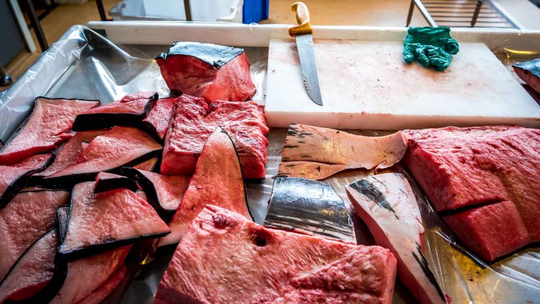 Seal soup for dinner? Get to know Greenland's Inuit cuisine | Adventure.com