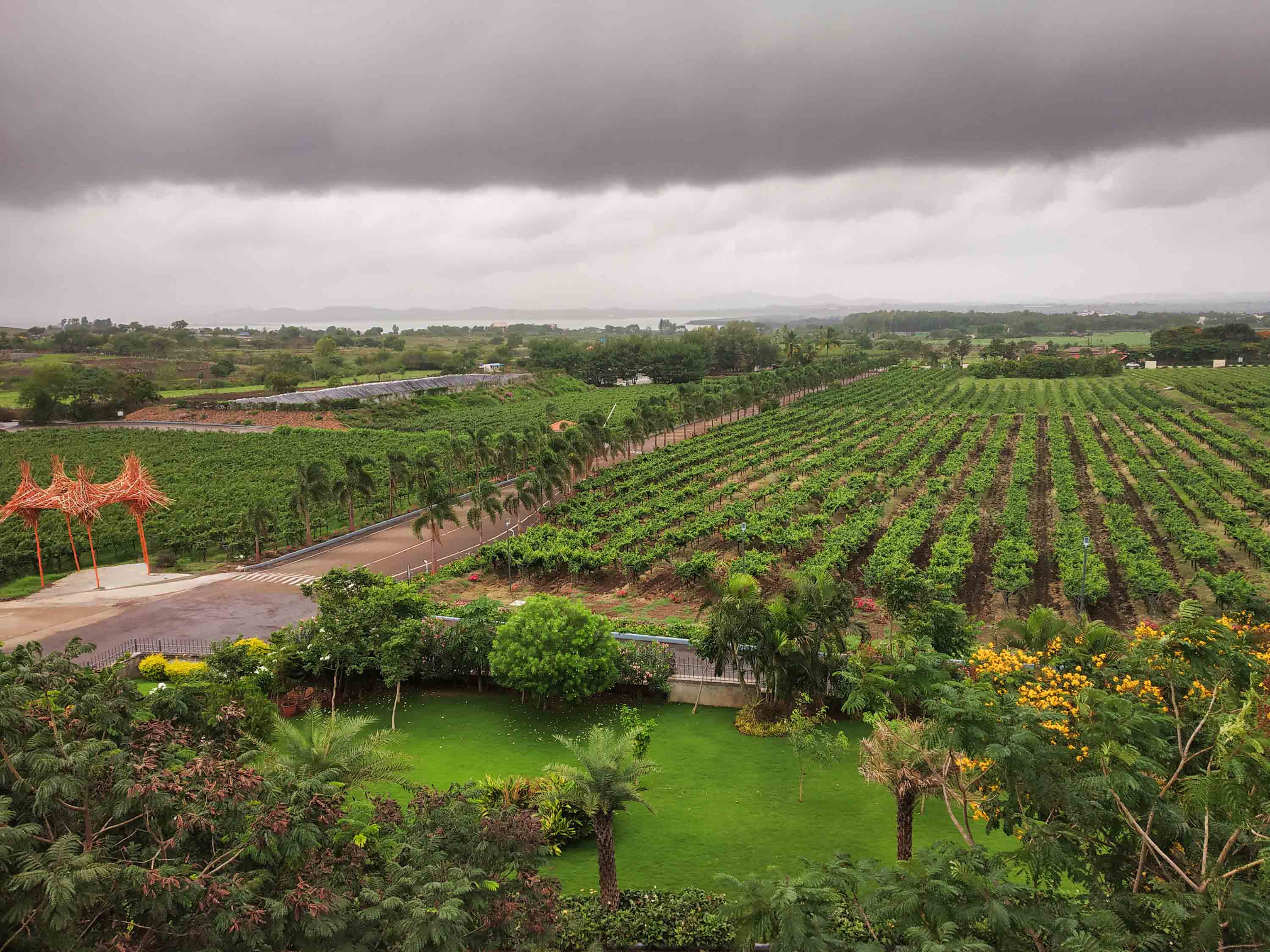 Grape expectations: Inside India’s blossoming wine region | Adventure.com