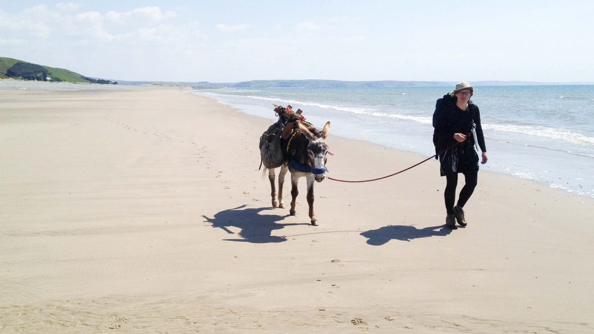 A beginner’s guide to the art of shopping for a camel | Adventure.com