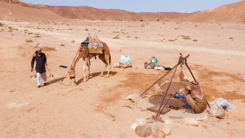 A beginner’s guide to the art of shopping for a camel | Adventure.com