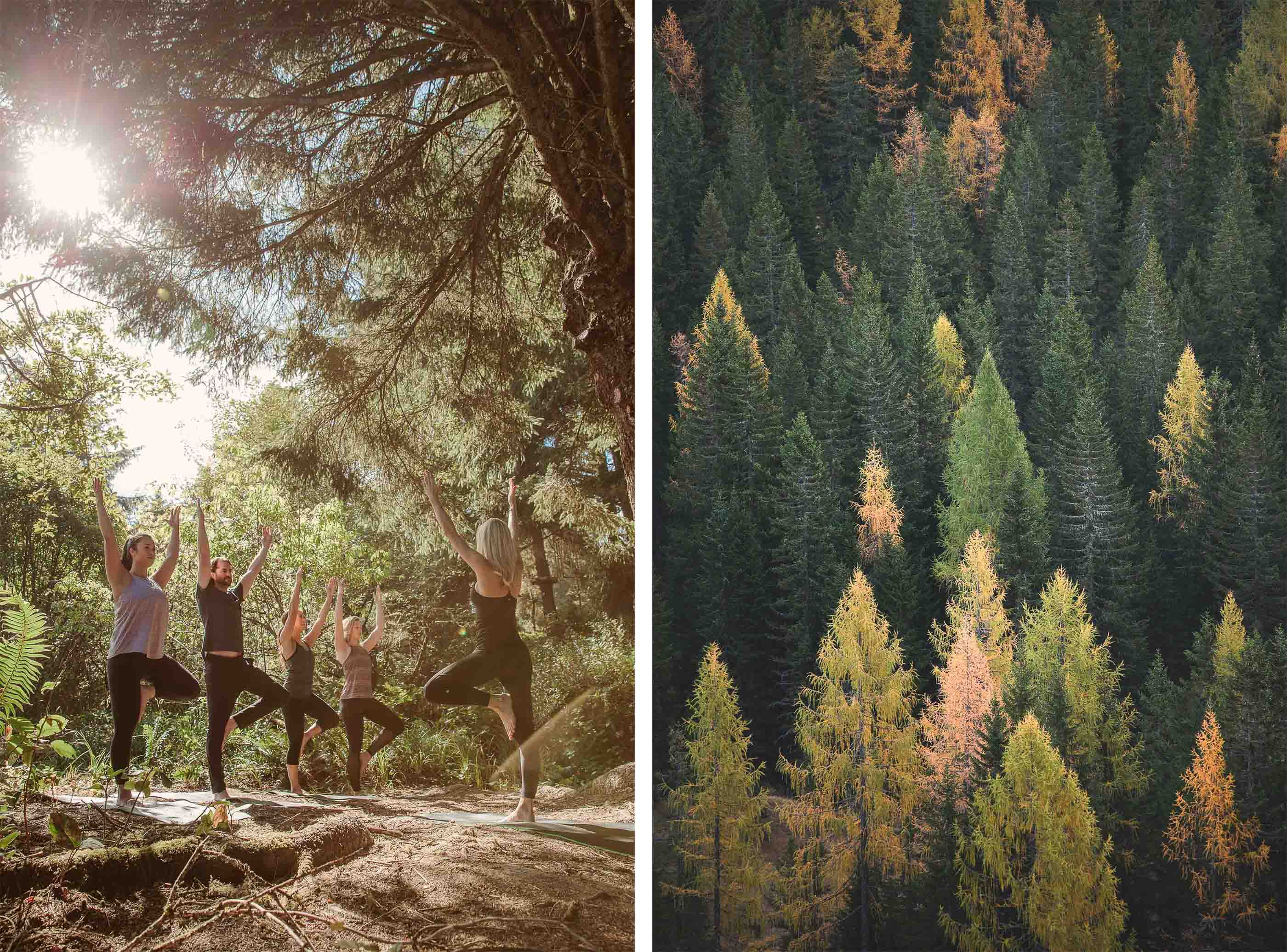 What on earth is forest bathing, and how can it help us? | Adventure.com