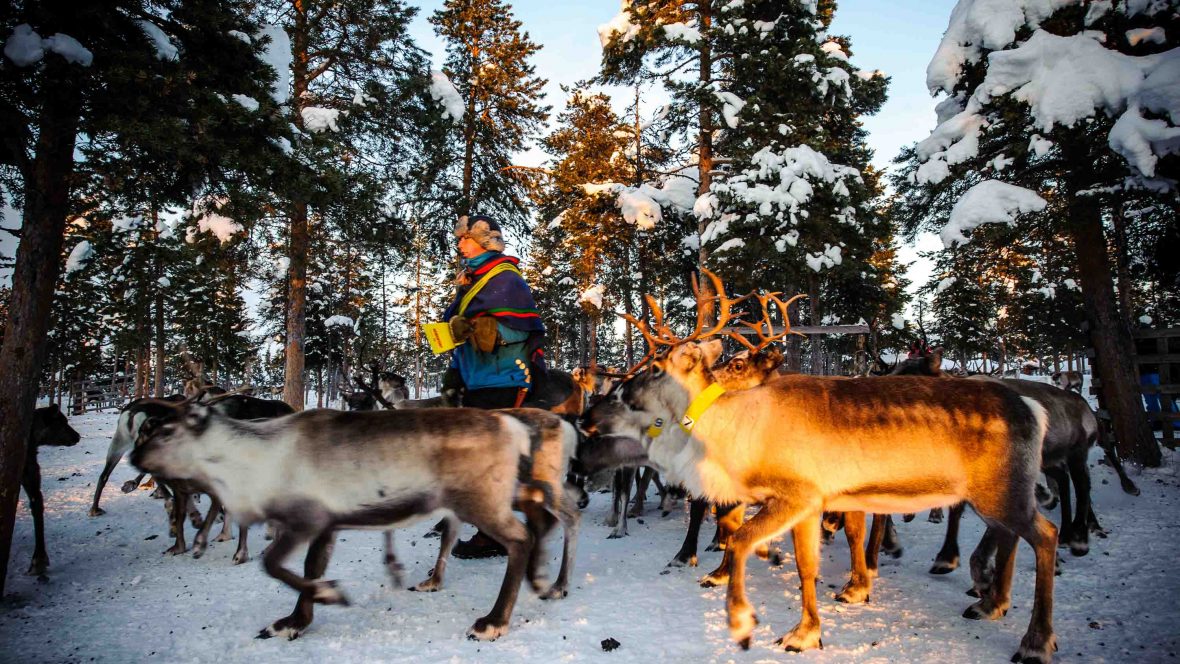 In photos: Sweden's incredible reindeer herders | Adventure.com
