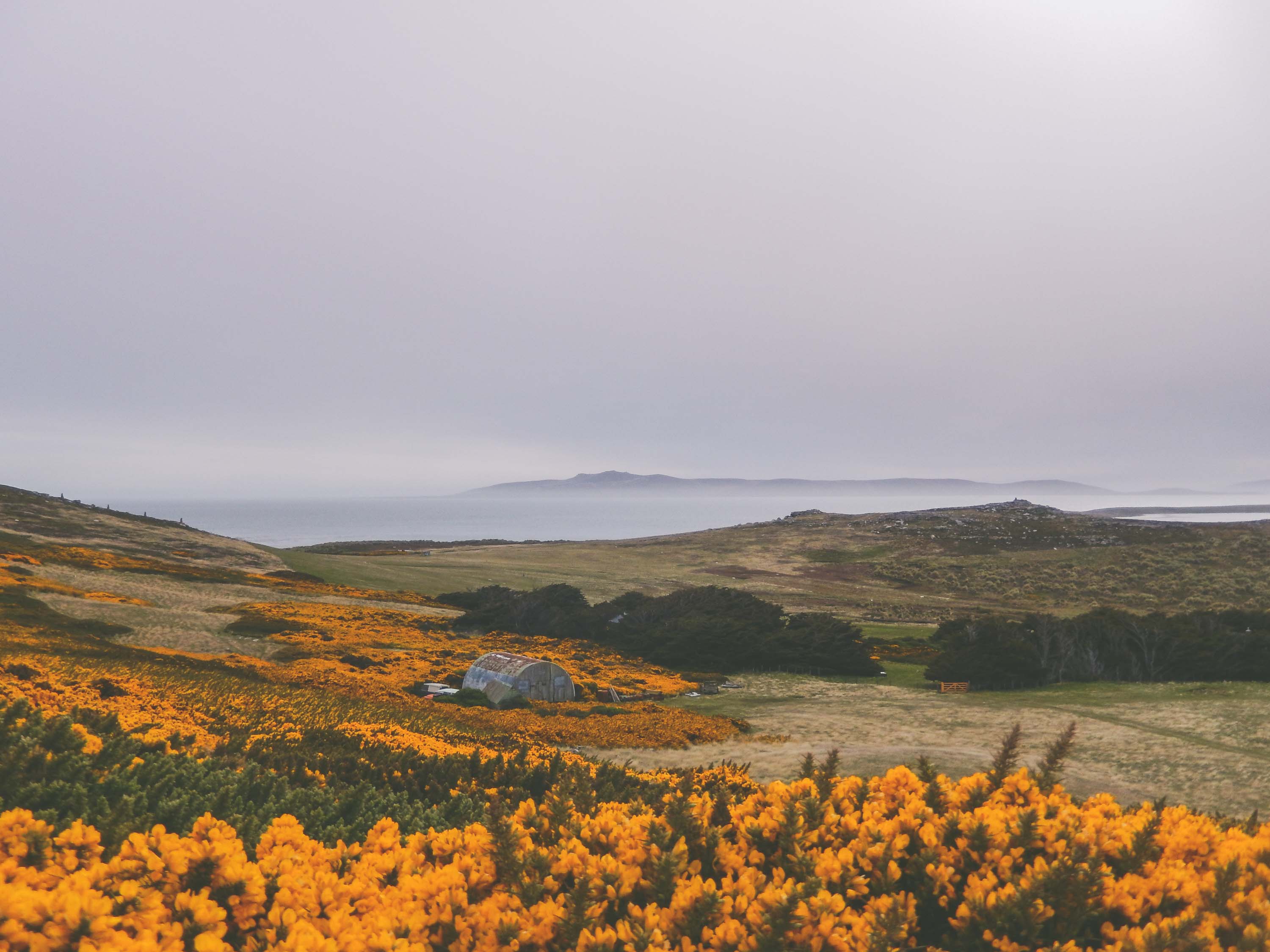 War to wildlife: Why you should visit the Falkland Islands | Adventure.com
