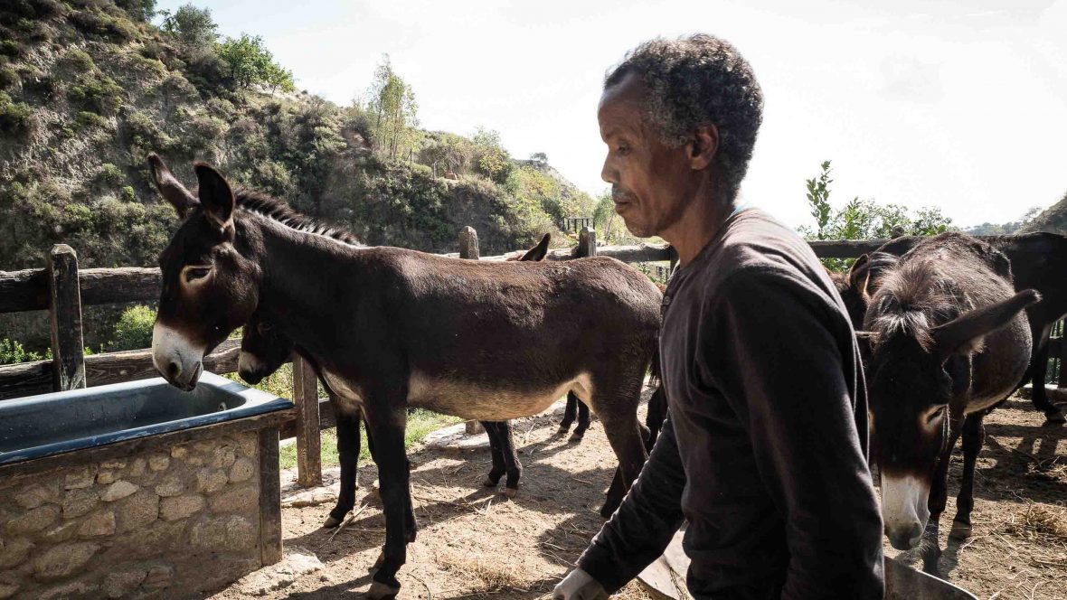 How refugees saved Riace, the tiny Italian town that could | Adventure.com