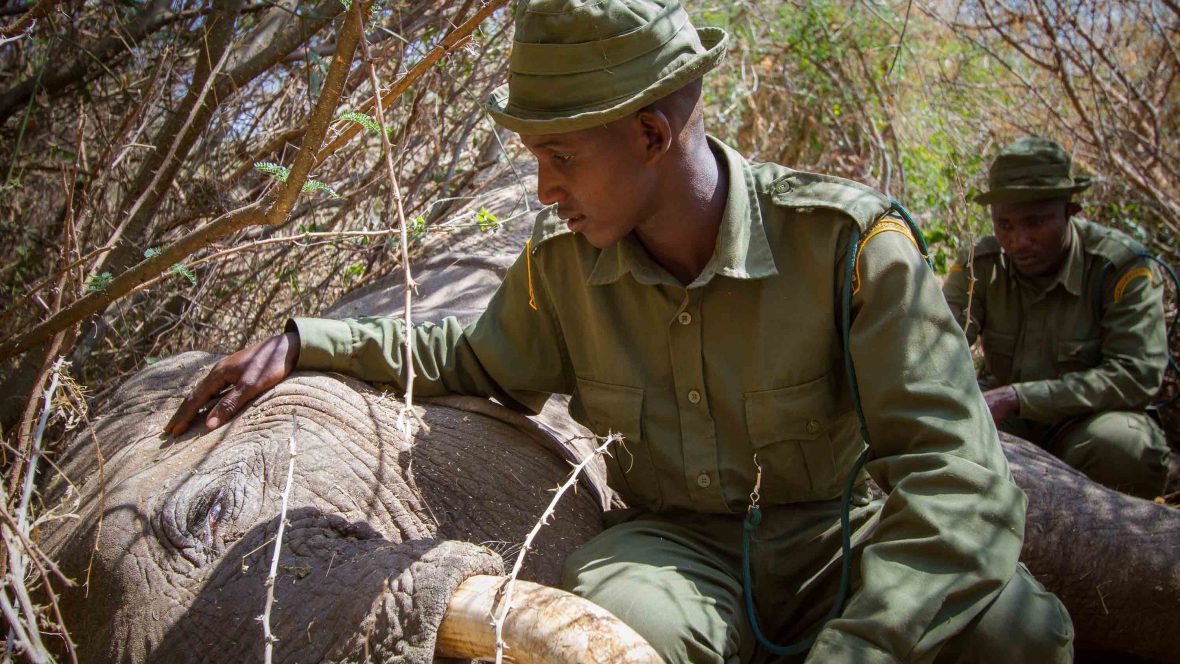 The mission to get more women involved in conservation | Adventure.com