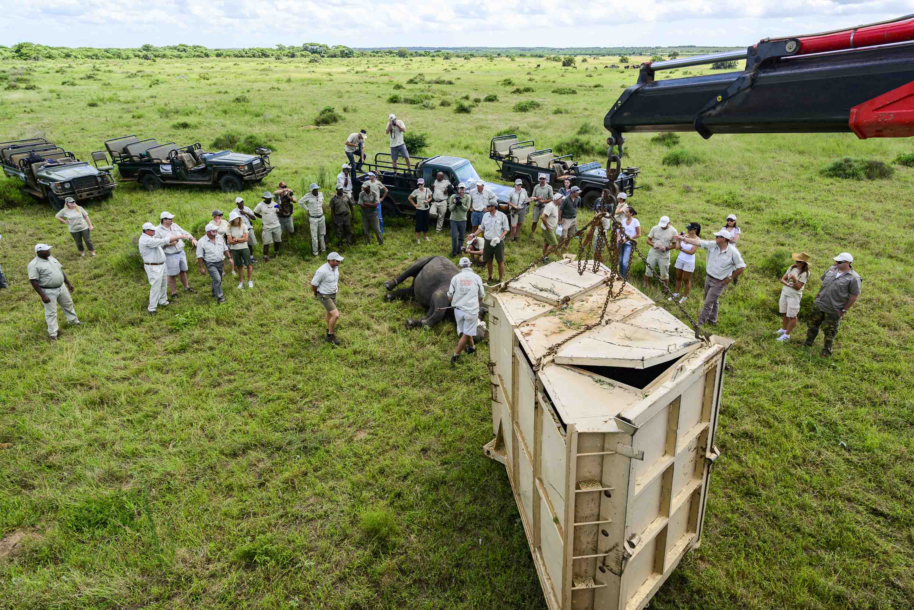 Inside the complex world of rhino conservation | Adventure.com