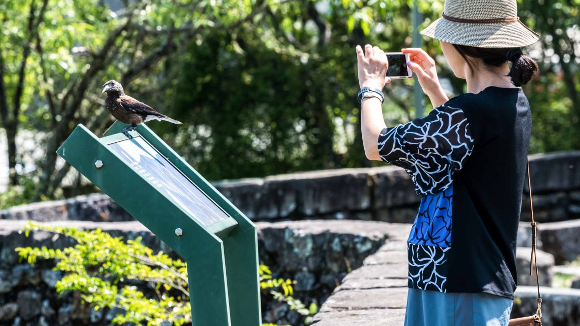 Birdwatching? Start in the city, says the Urban Birder | Adventure.com