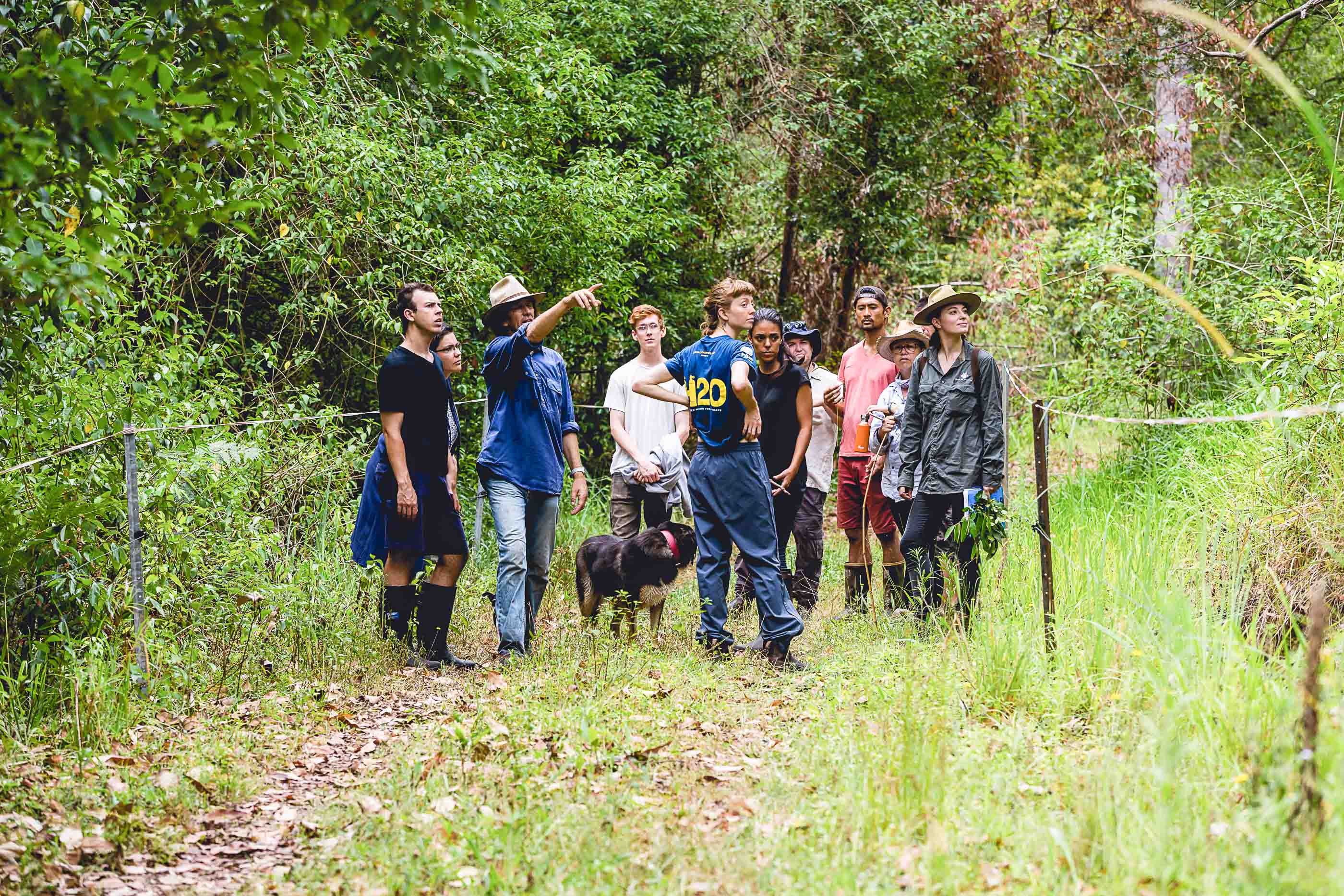 Could these ancient food forests help feed the world? | Adventure.com