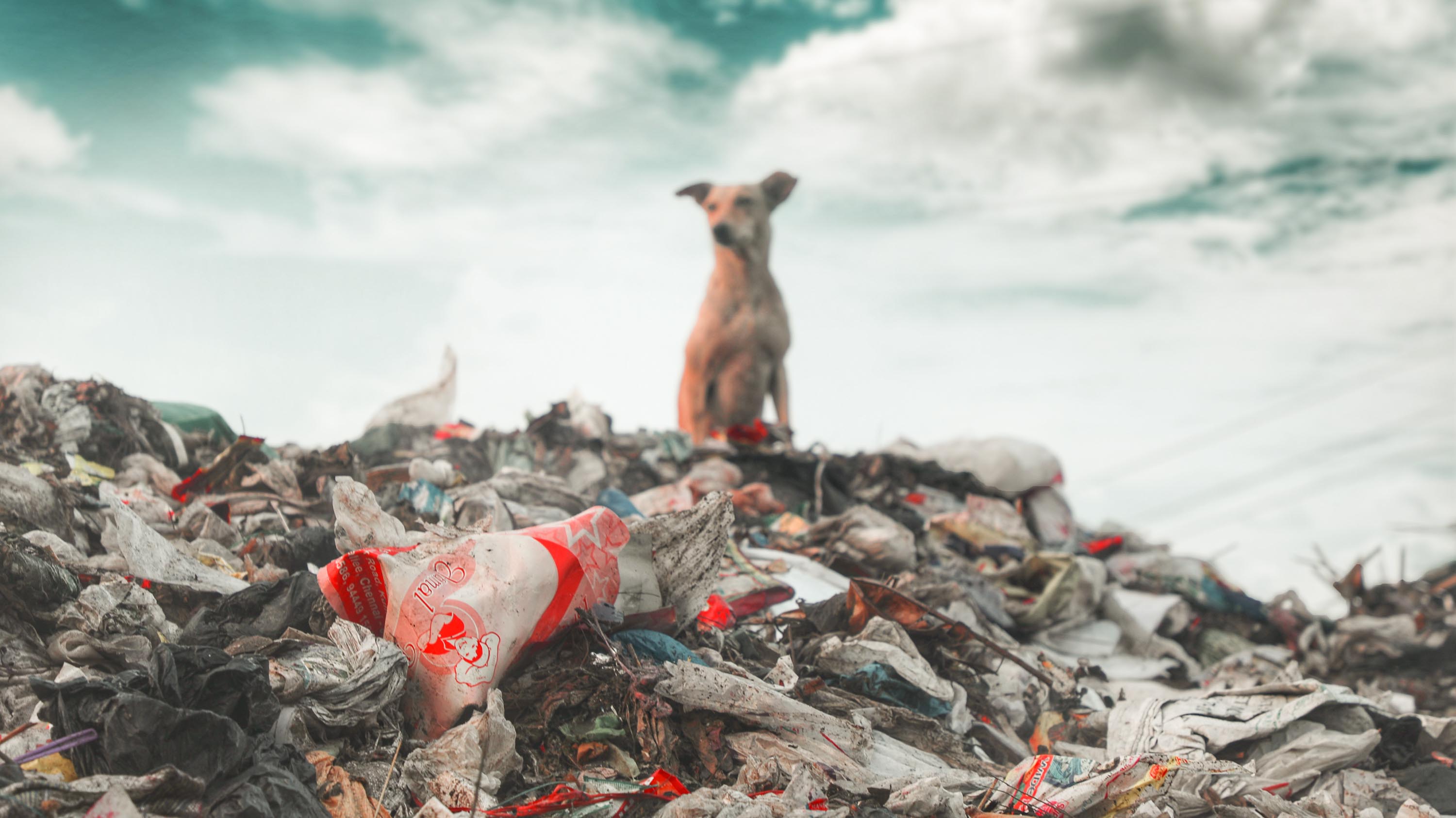 Is India finally winning its war against plastic waste? | Adventure.com