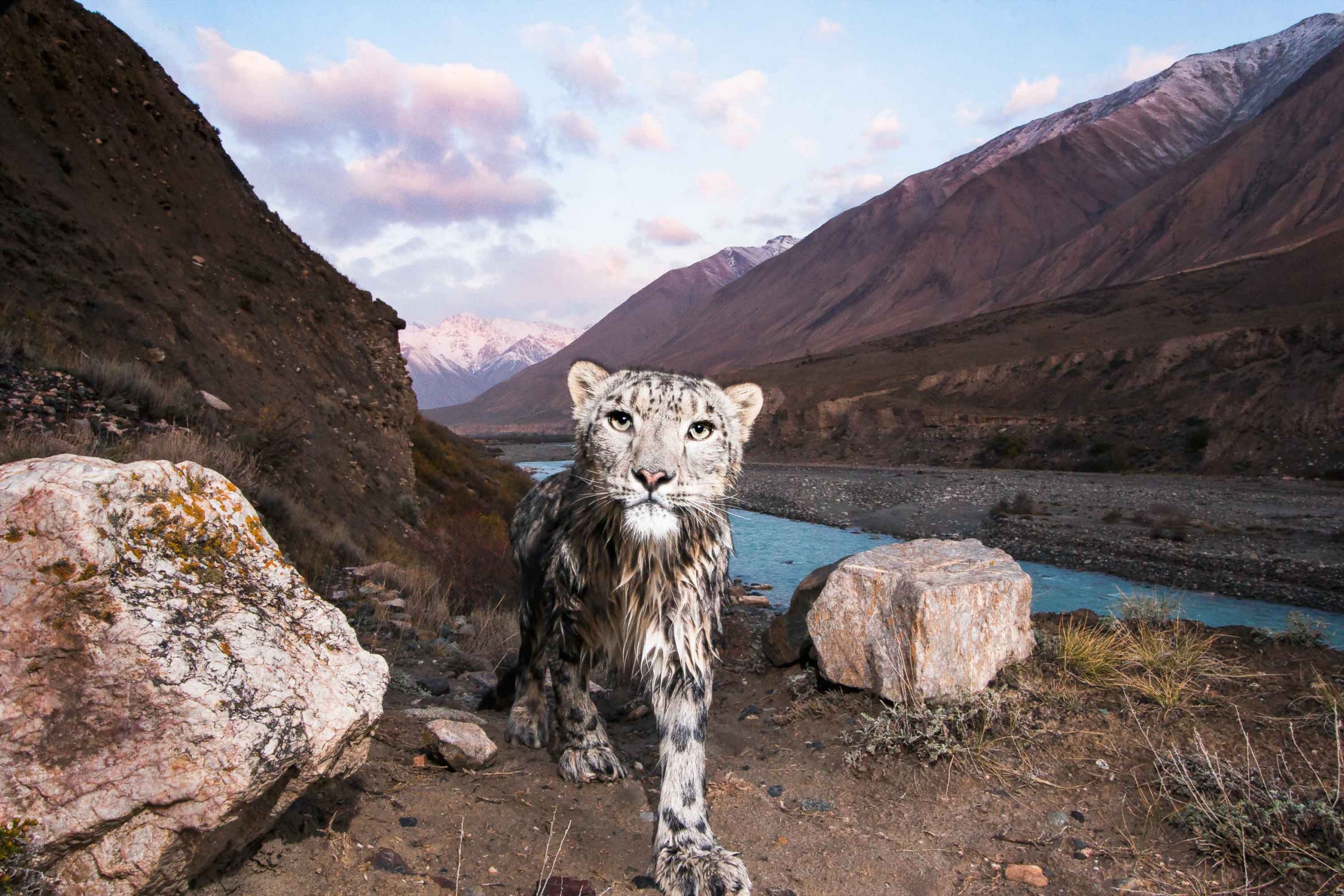 How to travel and make the world a better place in 2020 | Adventure.com