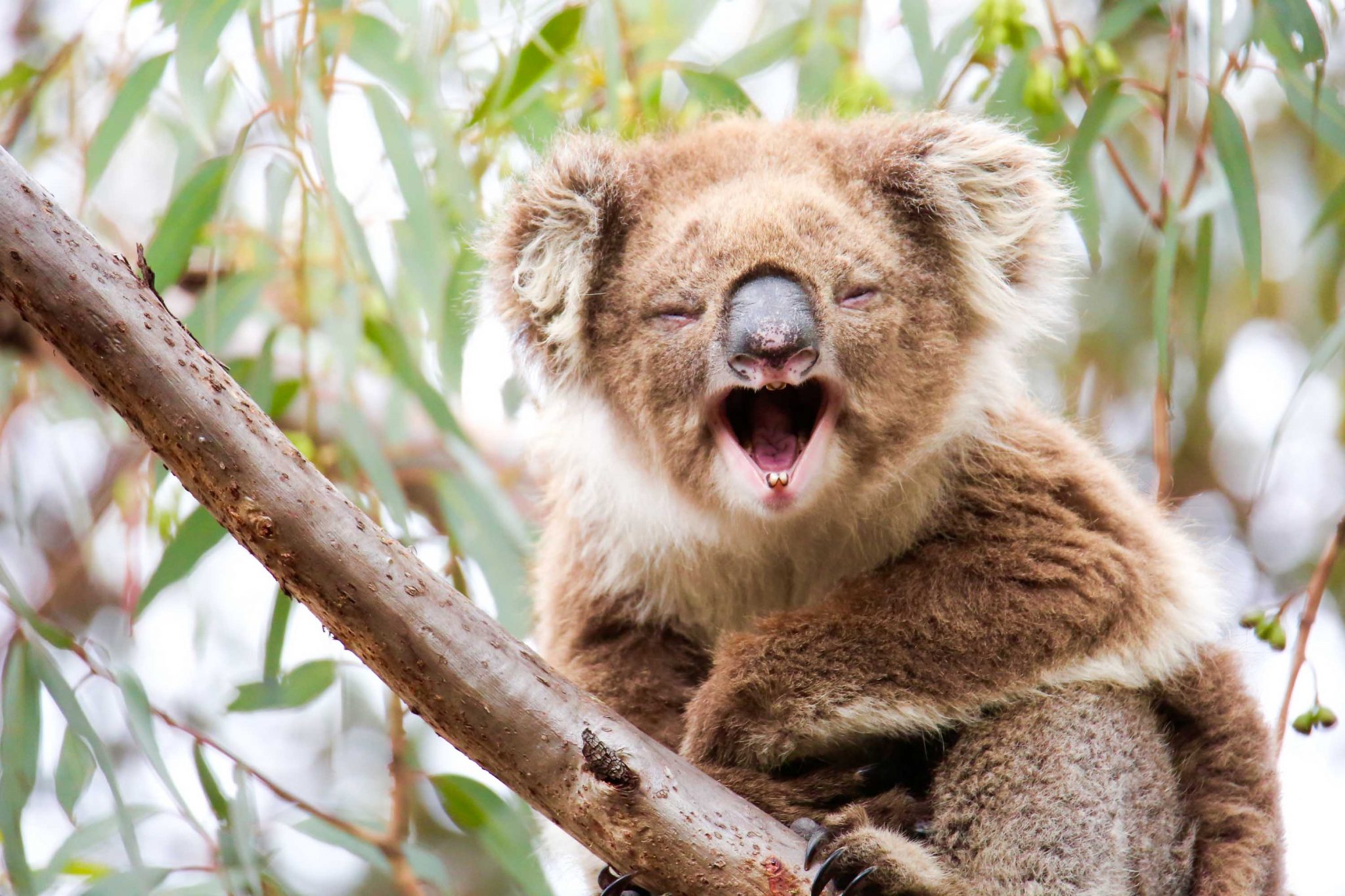 How to travel and make the world a better place in 2020 | Adventure.com