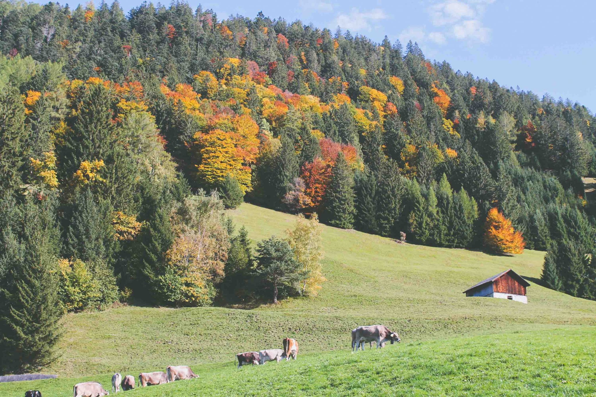 Liechtenstein Trail: Hiking the world's sixth-smallest nation ...