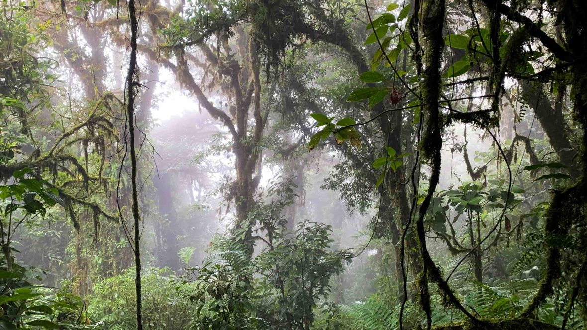 Solo travel: Why I don’t want to travel with anyone else | Adventure.com