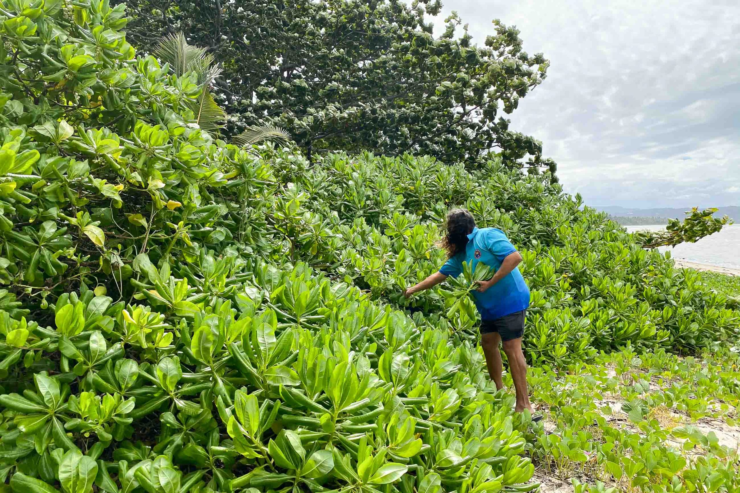 What a trip to the Daintree taught me about life, stress and rainforest ...