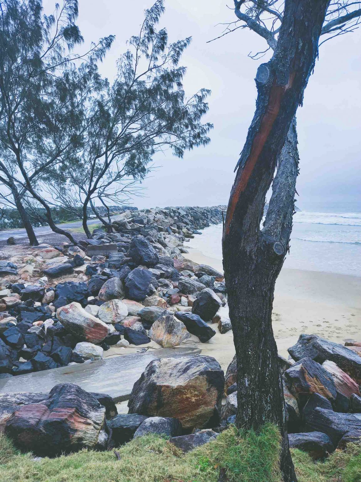 How Byron Bay should be seen: With an Indigenous Elder | Adventure.com