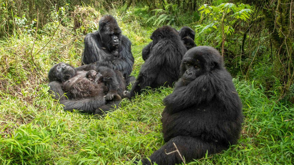 Meet the man behind the New Big 5 wildlife project | Adventure.com