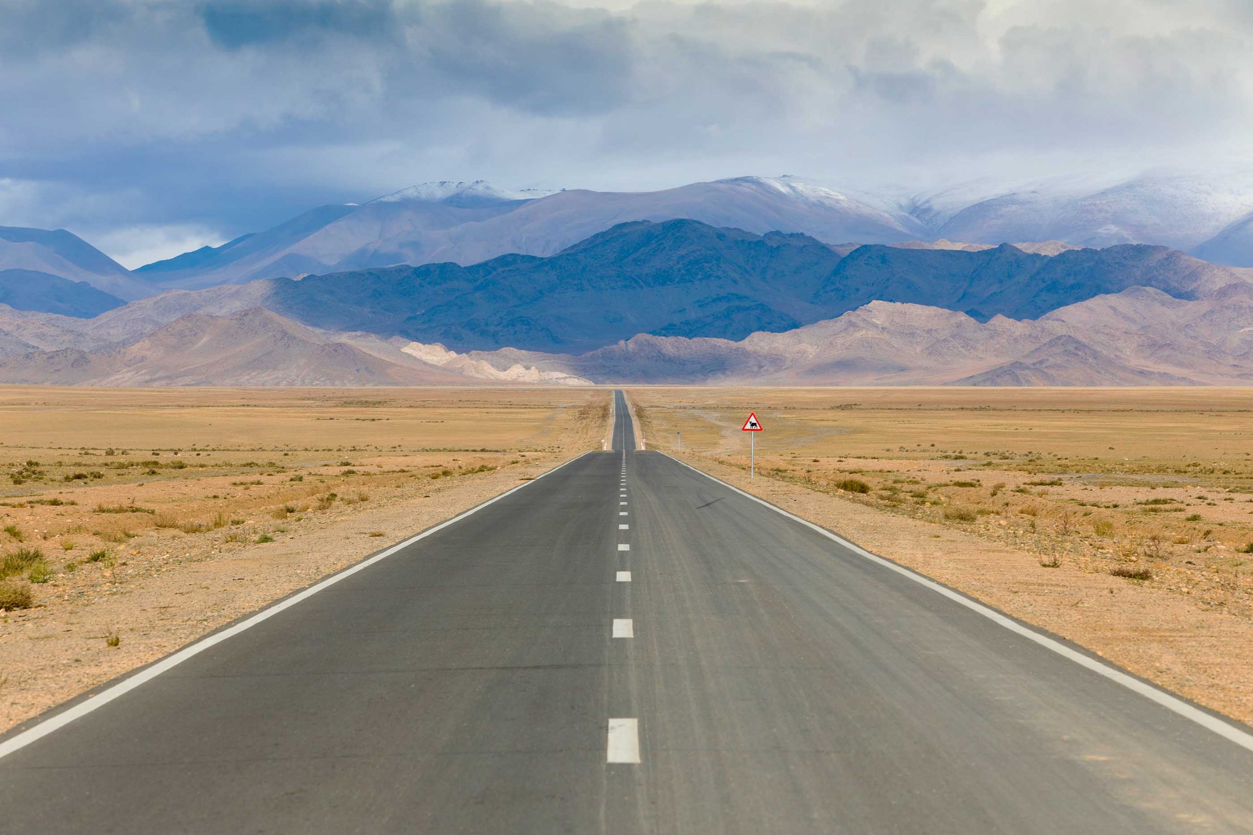 Patience makes perfect: How to track a snow leopard | Adventure.com
