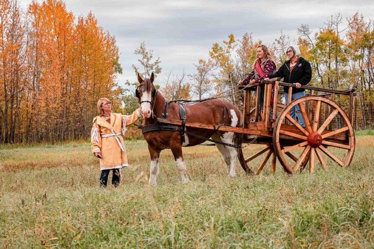 How the bison are helping the Métis Nation restore culture | Adventure.com