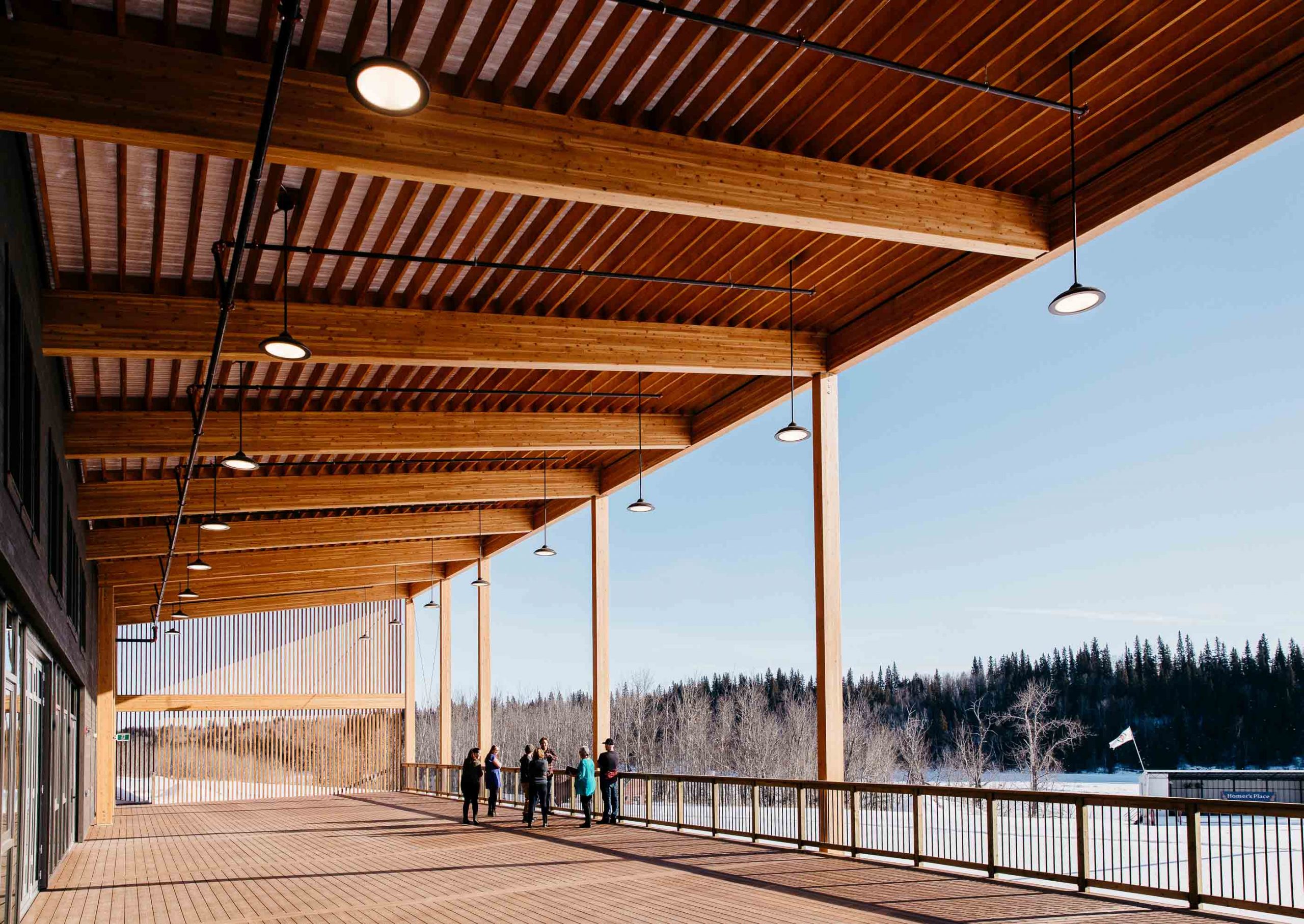 How the bison are helping the Métis Nation restore culture | Adventure.com