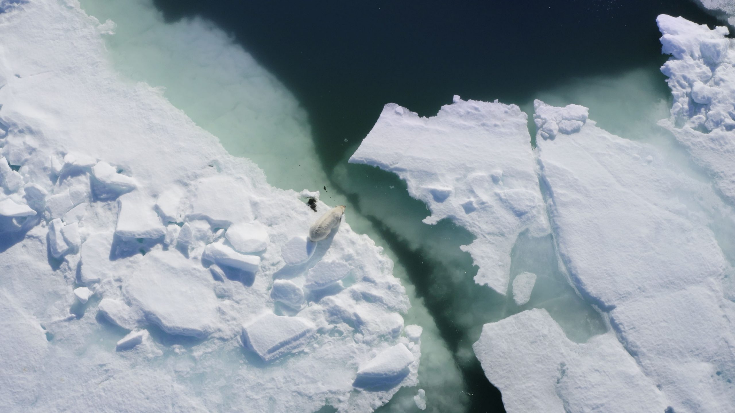 Our Great National Parks and the curious feeling of hope | Adventure.com
