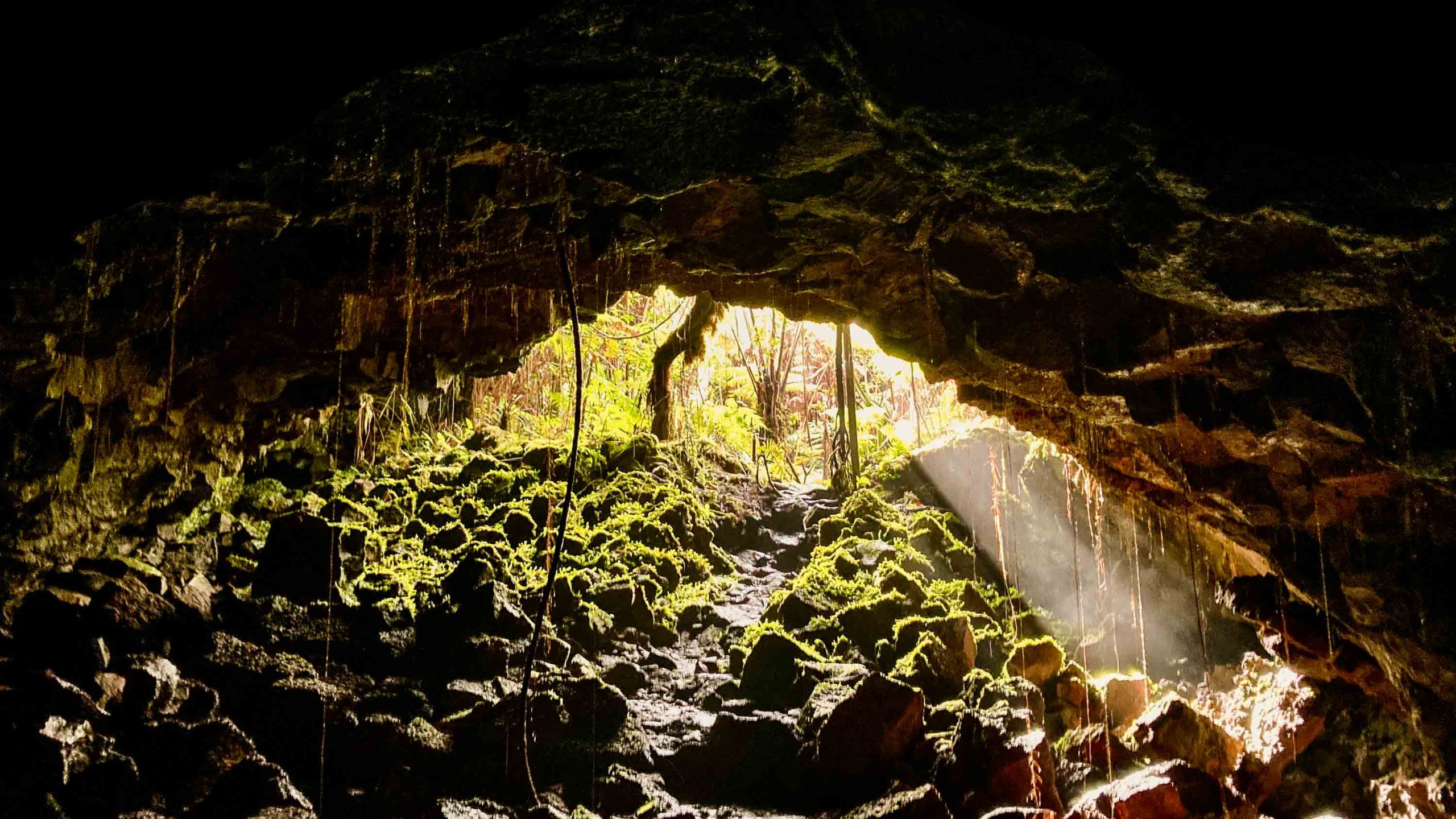 The curious case of Harry Shick's backyard cave | Adventure.com
