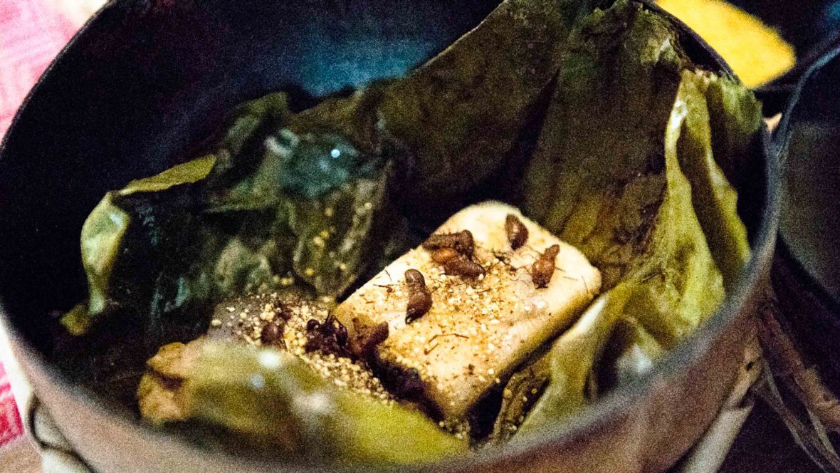 Meet the Indigenous entrepreneurs redefining Manaus | Adventure.com