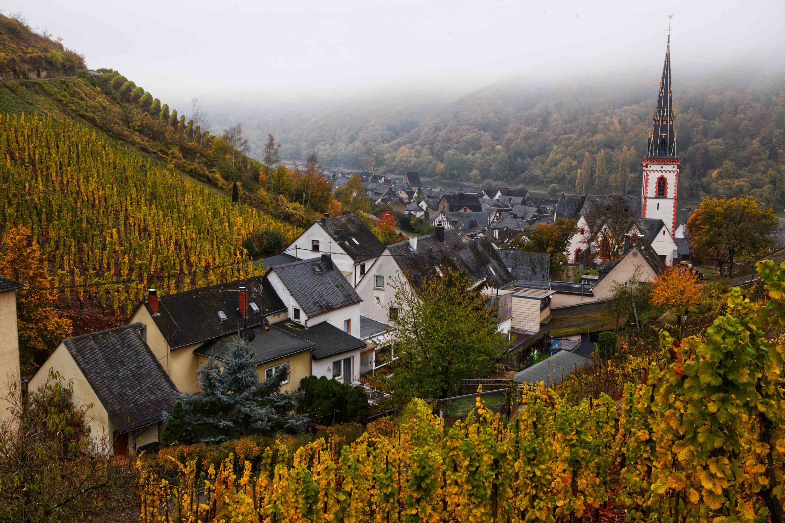 How I fell in love with Germany’s easy-access hiking trails | Adventure.com