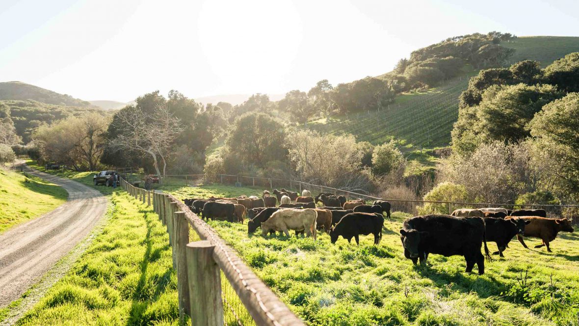 Can regenerative farming save our food and future? | Adventure.com