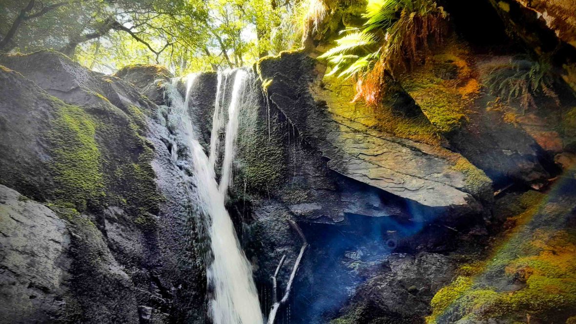 In search of Britain’s forgotten rainforests | Adventure.com