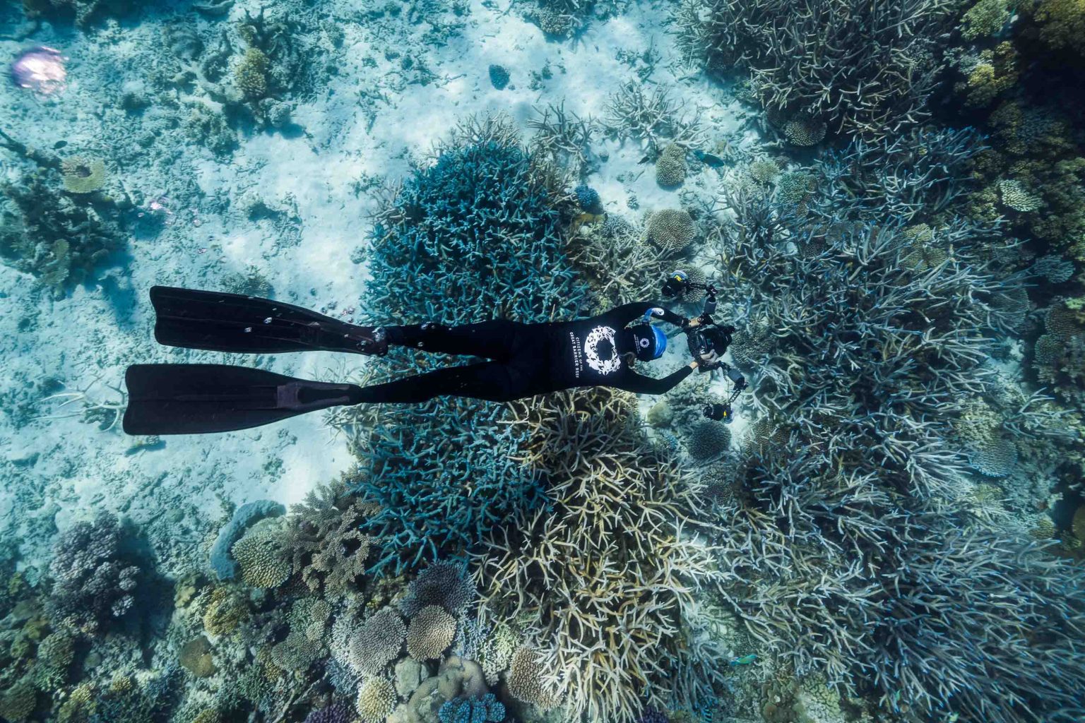 Can citizen science save the Great Barrier Reef? | Adventure.com