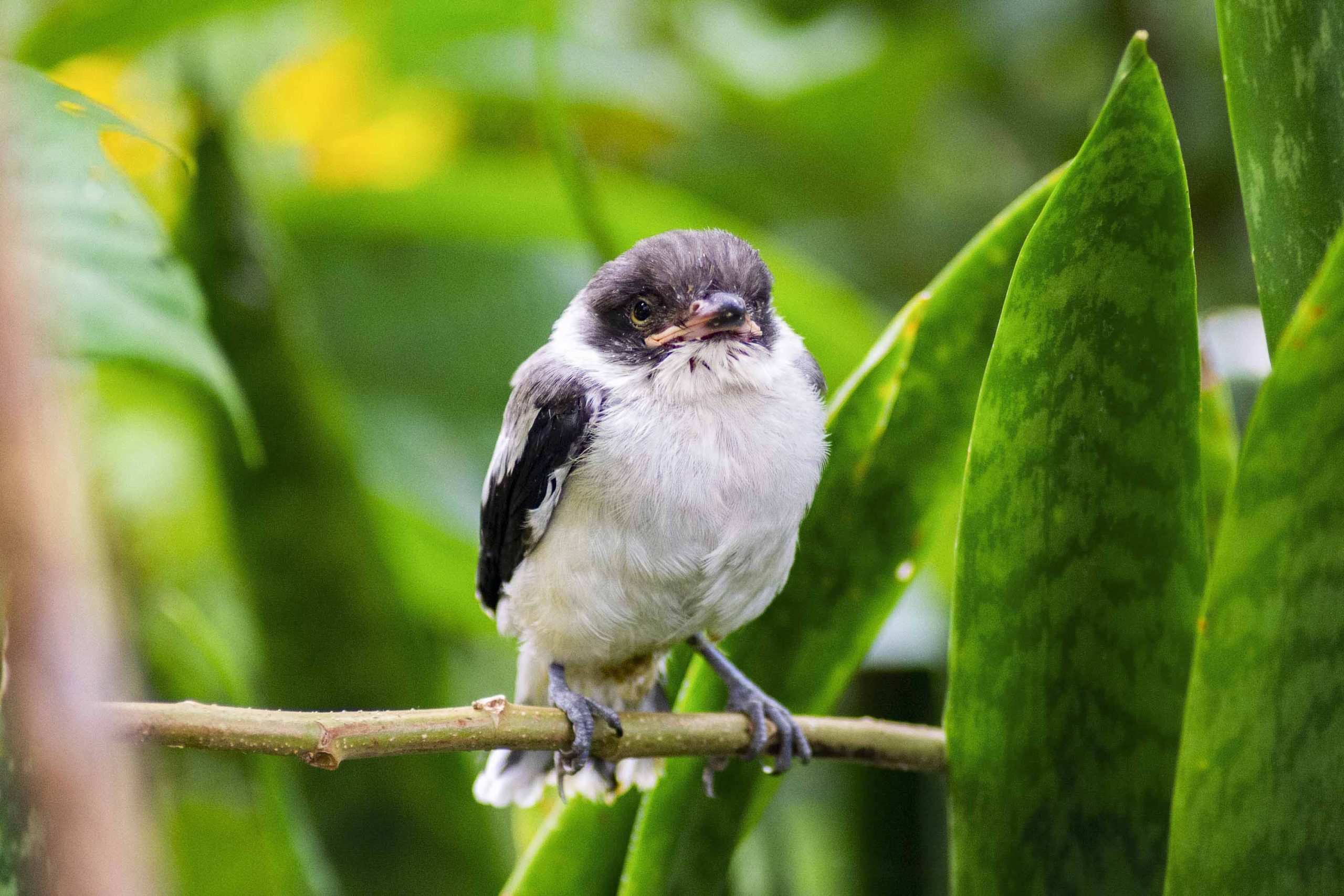 Trails, folk tales and birdwatching in Colombia | Adventure.com