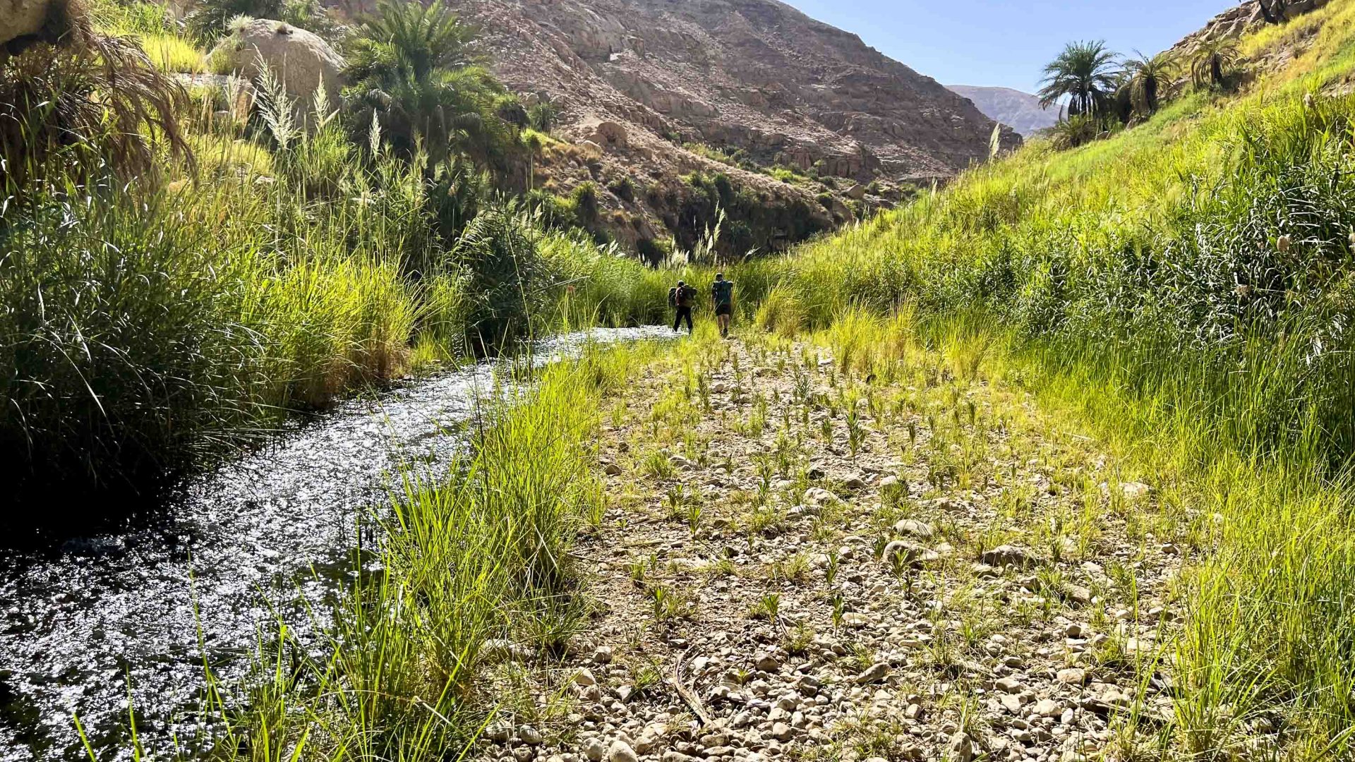 Is this one of Jordan’s most extraordinary treks? | Adventure.com