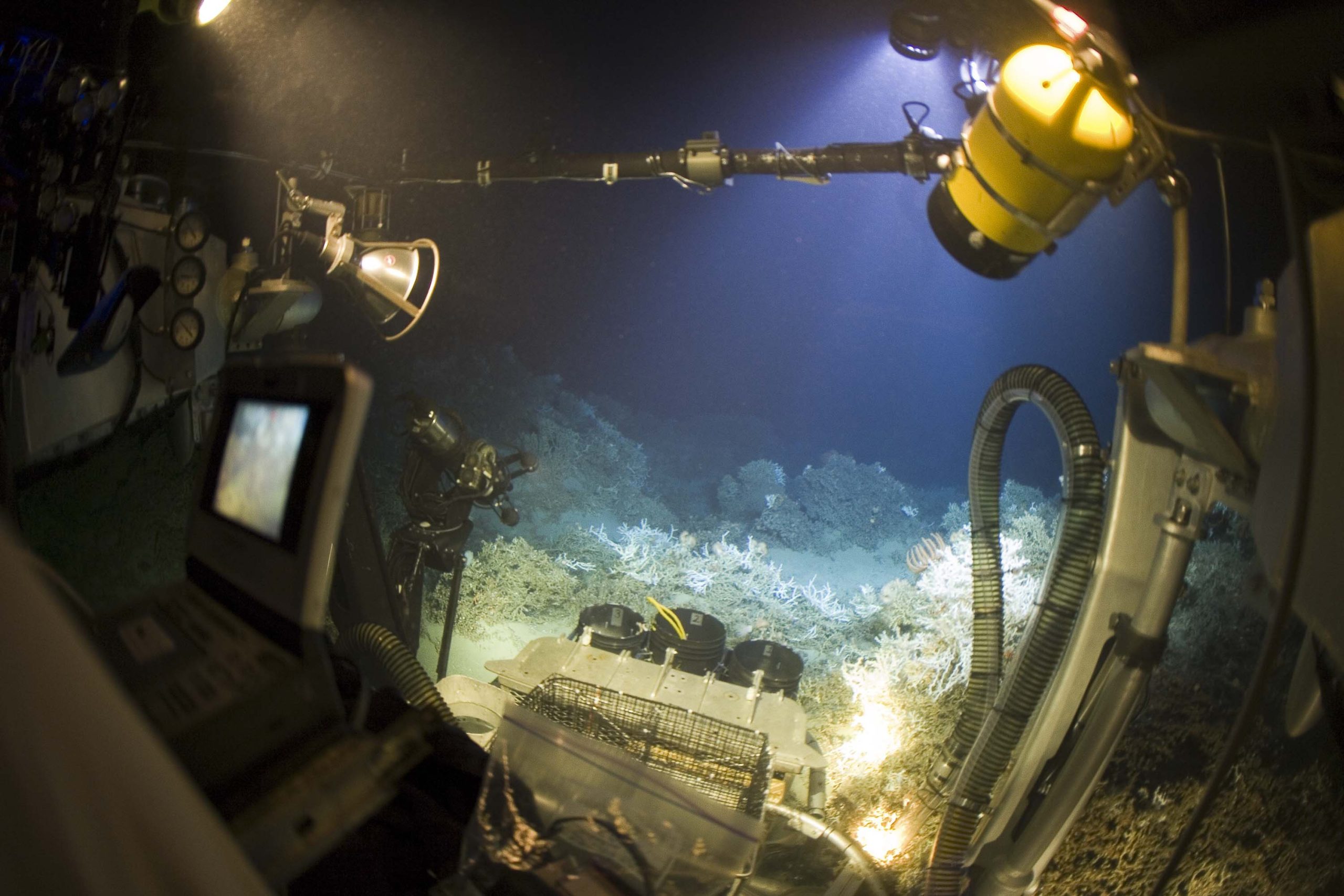 Why under-explored deep sea reefs must be conserved | Adventure.com