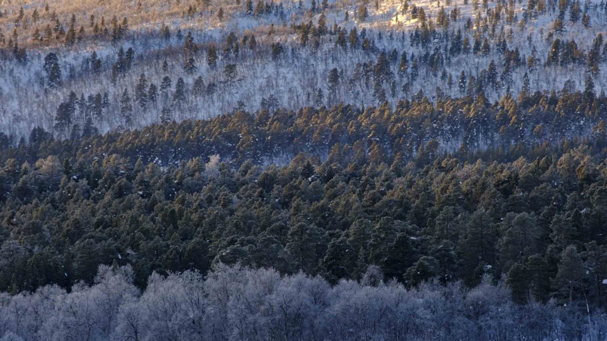 Can best-practice travel protect Finland’s Sámi culture? | Adventure.com